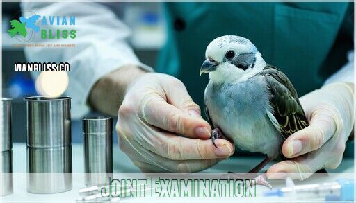 Bird Leg Problems and Treatment: Causes, Symptoms, and Effective Care