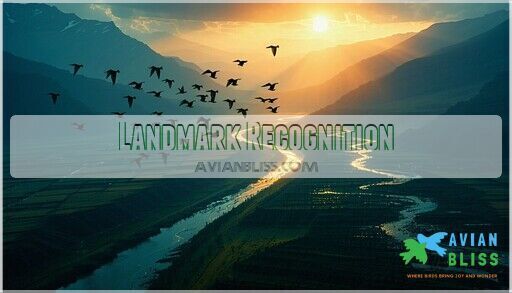 Bird Migration Routes Explained: Complete Guide to Flyways & Patterns