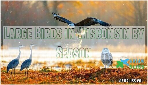 Large Birds in Wisconsin: Top Species, Habitats, and ID Tips