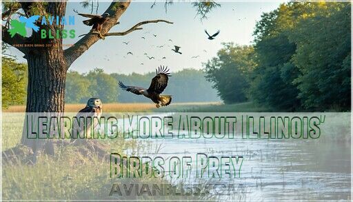 Illinois Birds of Prey: 19 Species Guide With Photos (2025)