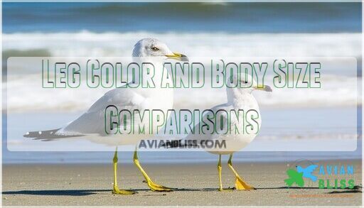 What is The State Bird of Utah? California Gull Facts & History