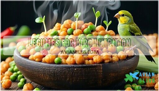 Good Protein Sources for Birds: Complete Nutrition Guide 2025