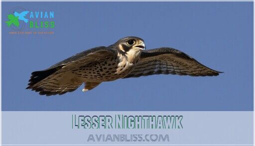 Night Birds in Texas: 8 Nocturnal Species You'll Hear After Dark