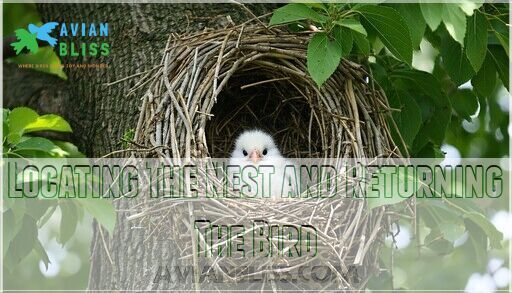 Baby Birds: Complete Guide to Care, Identification & Development