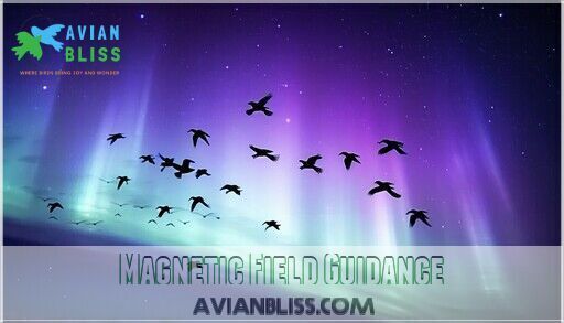 Bird Migration Routes Explained: Complete Guide to Flyways & Patterns