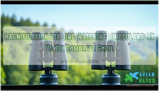 Magnification for Bird Watching Binoculars: 8x Vs 10x Complete Guide
