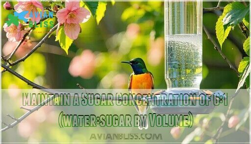 Oriole Birds in California: Attract & Identify These Stunning Species