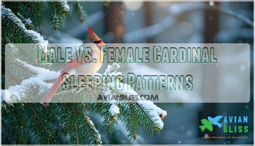 Where Do Cardinals Nest at Night? Surprising Roosting Secrets!