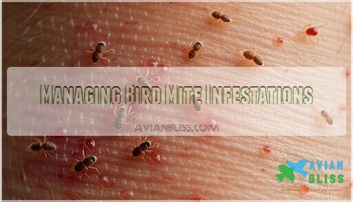 Bird Mites Affecting Humans: Symptoms, Treatment & Prevention Tips