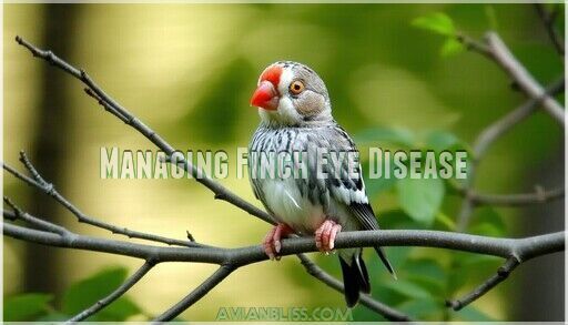 Finch Eye Infection Treatment: Complete Guide to Healing Your Birds