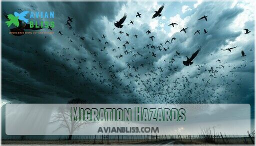 Bird Migration Patterns North America: 4 Major Flyways Revealed
