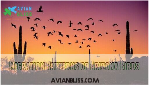 Common Birds in Arizona: Complete Guide With Photos & ID Tips (2025)