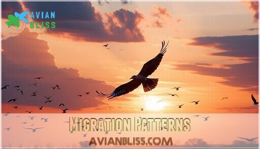 Hawks in Texas: 15 Species & How to Identify Them (2025 Guide)