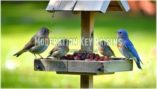 Can Birds Eat Raisins? Safe Feeding Tips & Benefits for Wild Birds