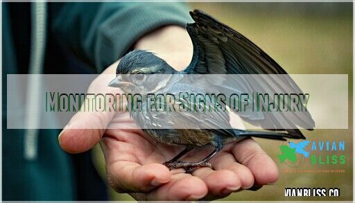Avian Broken Wing Treatment: Emergency Care Steps That Save Lives