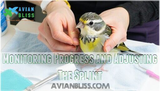 Bird Leg Injury Splint: Emergency Care & Recovery Guide for Pet Birds