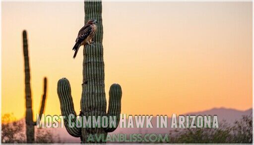 Arizona Birds of Prey: 23 Magnificent Raptors (With Pictures!)