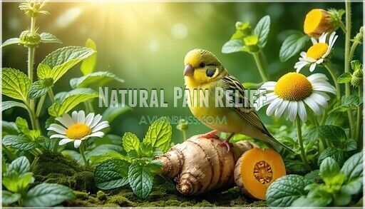 Natural Remedies for Sick Birds: 9 Proven Ways to Heal Your Pet