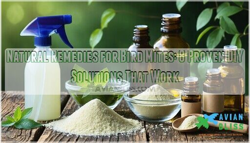 Natural Remedies for Bird Mites: 8 Proven DIY Solutions That Work