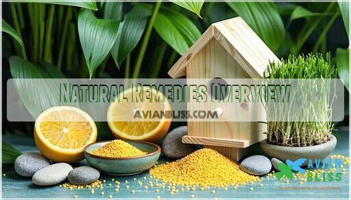 Natural Remedies for Sick Birds: 9 Proven Ways to Heal Your Pet