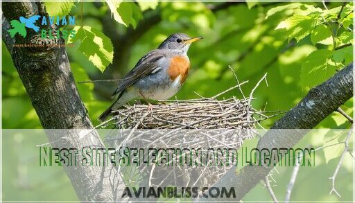 Do Robins Reuse Their Nests? The Surprising Truth Revealed!