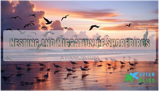 Shore Birds in Florida: Complete ID Guide With Photos & Tips