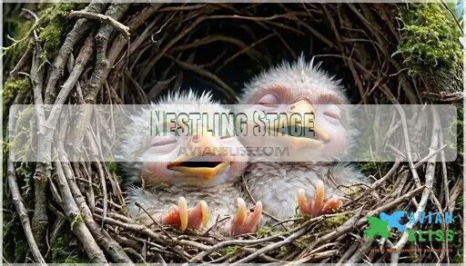 How Long Does It Take for Baby Birds to Fly? Complete Timeline