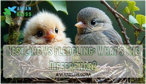 Baby Birds: Complete Guide to Care, Identification & Development