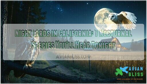 Night Birds in California: 7 Nocturnal Species You'll Hear Tonight