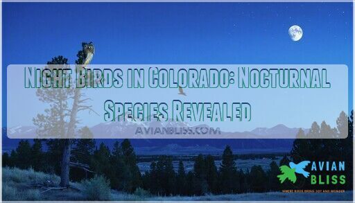 Night Birds in Colorado: Nocturnal Species Revealed