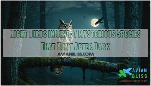 Night Birds in Ohio: 7 Mysterious Species That Hunt After Dark