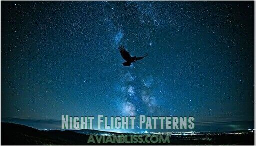Do Birds Fly at Night? Surprising Nocturnal Flight Secrets Revealed
