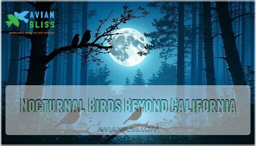 Night Birds in California: 7 Nocturnal Species You'll Hear Tonight