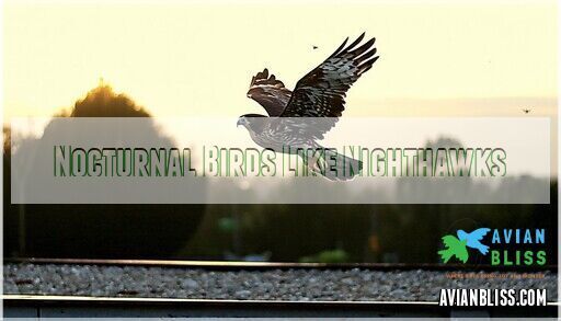 Do Birds Fly at Night? Surprising Nocturnal Flight Secrets Revealed