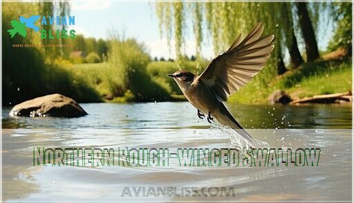 Exploring Ohio's Fascinating Swallow Species: A Photo Guide