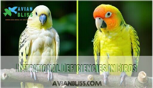 Avian Nutrition Guide for Beginners: 10 Essential Tips for Bird Health