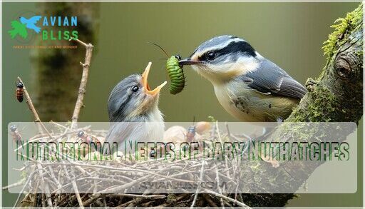 What Do Baby Nuthatches Eat? Complete Diet Guide for Nestlings