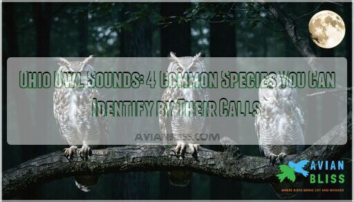 Ohio Owl Sounds: 4 Common Species You Can Identify by Their Calls