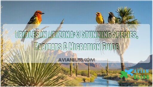 Orioles in Arizona: 3 Stunning Species, Habitats & Migration Guide