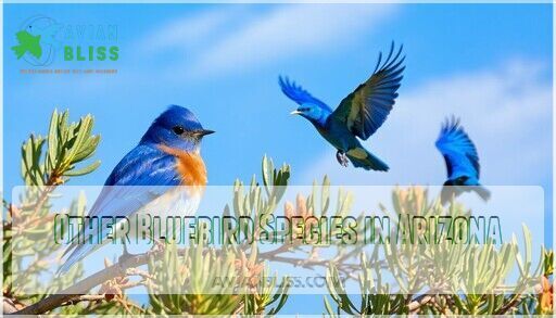 Blue Birds in Arizona: 13 Species Guide + Photos for Quick ID