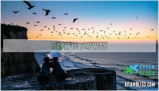 Bird Migration Patterns North America: 4 Major Flyways Revealed