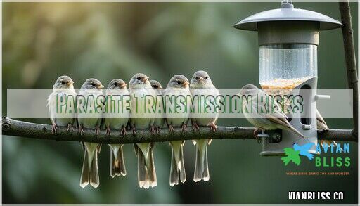 Types of Parasites in Birds: Signs, Treatment & Prevention Guide