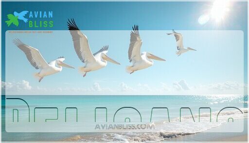 White Water Birds: 25 Beautiful Species You Need to See (2025 Guide)