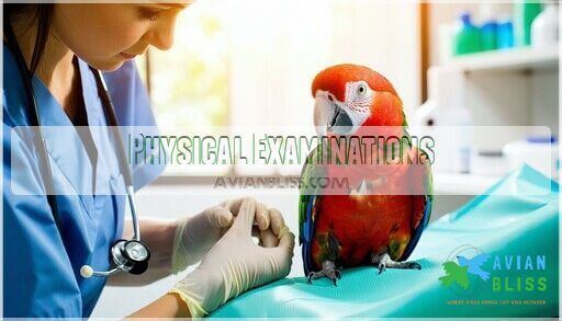 Bird Leg Problems and Treatment: Causes, Symptoms, and Effective Care