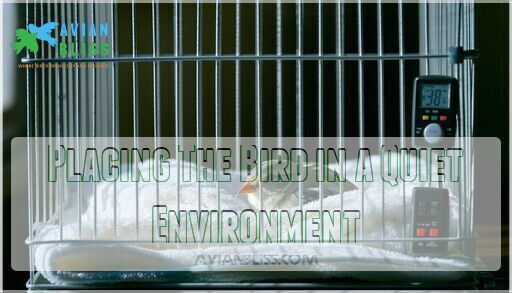 Avian Broken Wing Treatment: Emergency Care Steps That Save Lives