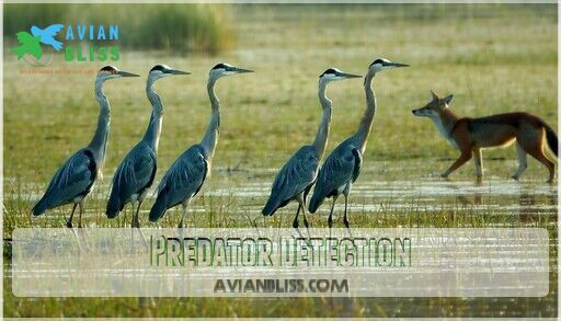 Birds With Long Necks: 15 Amazing Species You Must See (Photos Inside)