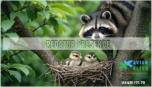 Why Do Mother Birds Abandon Their Babies? The Shocking Truth Revealed