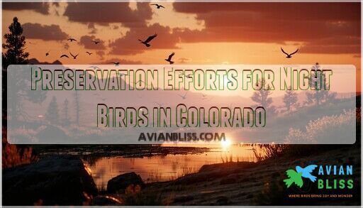 Night Birds in Colorado: Nocturnal Species Revealed