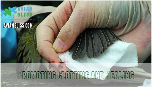 Bird Bleeding Wing Treatment: Emergency First Aid Steps That Save Lives
