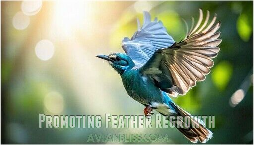 How to Improve Bird Feathers: 5 Proven Tips for Healthy Plumage